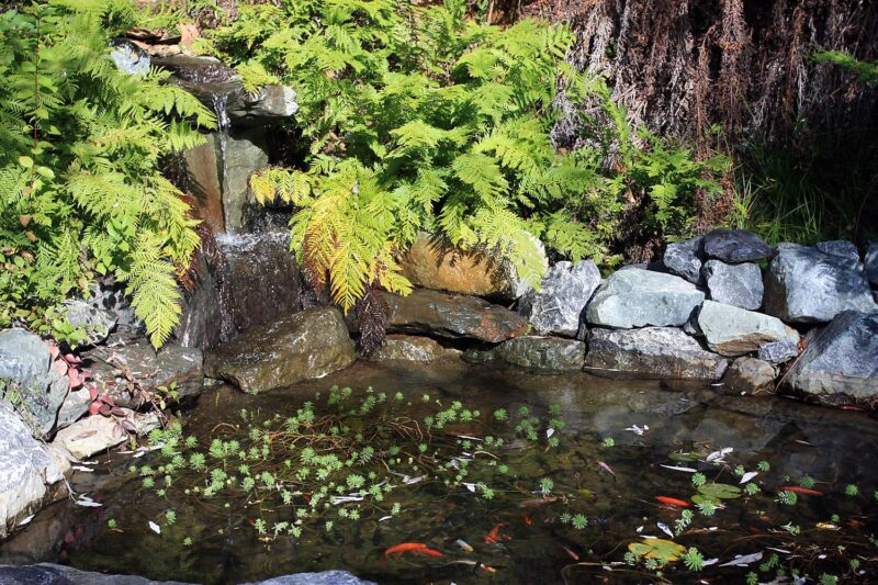 Green Toad Grotto | the Art of Water