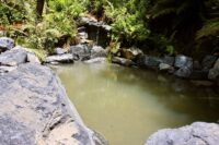 Green Toad Grotto | the Art of Water