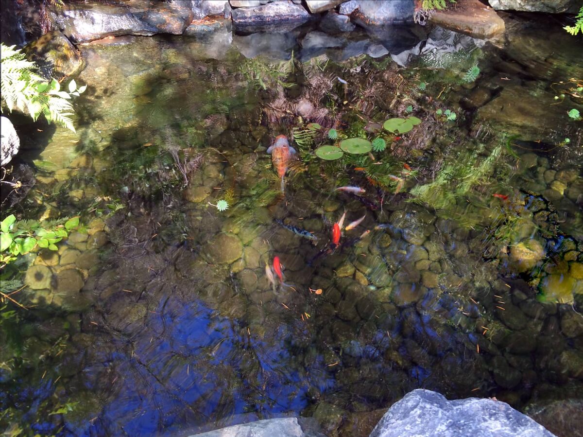Green Toad Grotto | the Art of Water