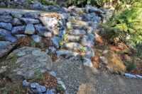 Green Toad Grotto | the Art of Water