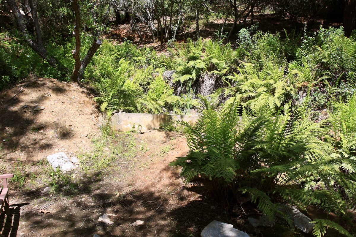 Green Toad Grotto | the Art of Water