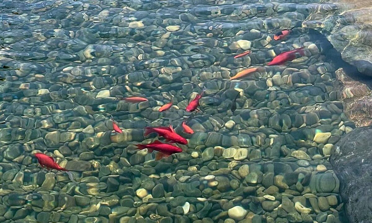 Haskell Court | the Art of Water