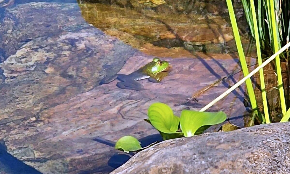 Haskell Court | the Art of Water