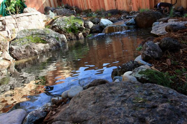 Kaweah Court | the Art of Water