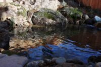 Kaweah Court | the Art of Water