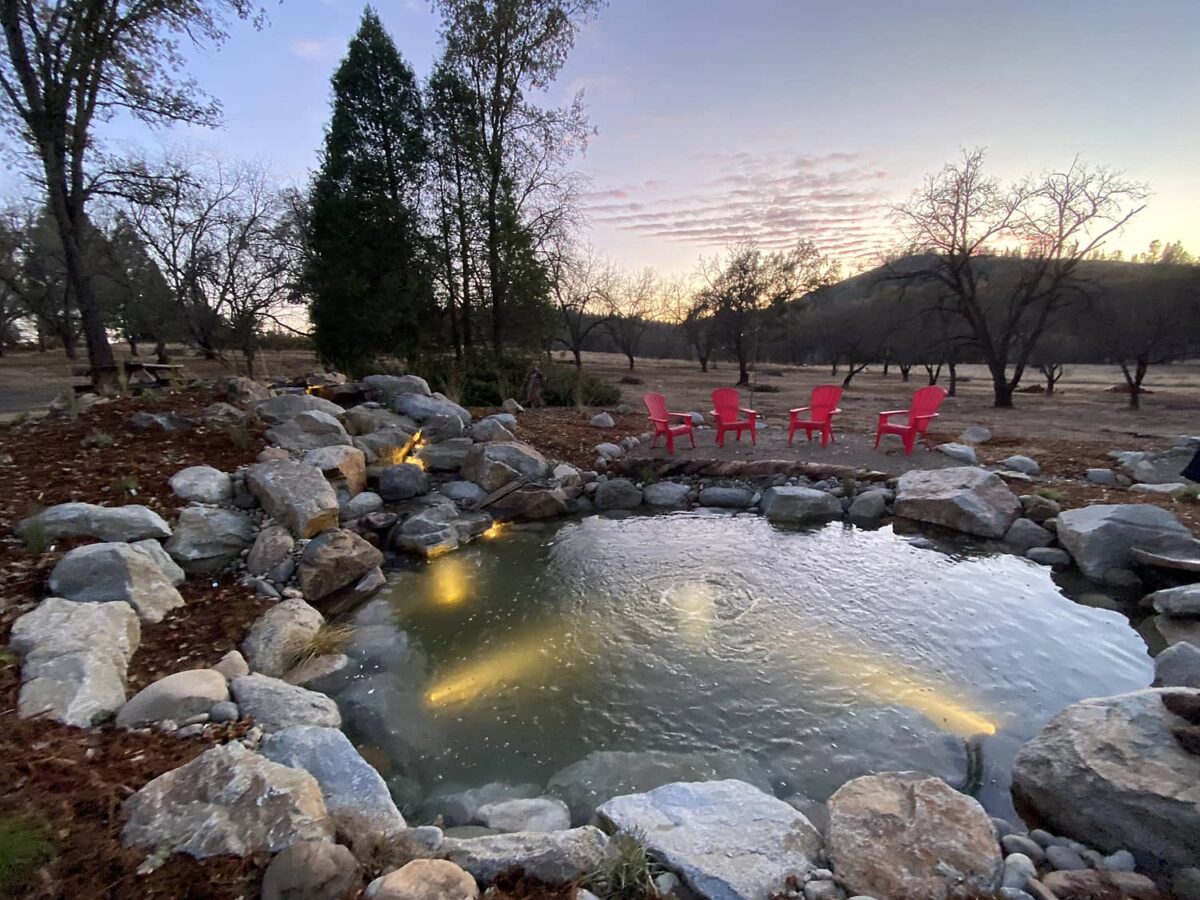 Ponds | the Art of Water
