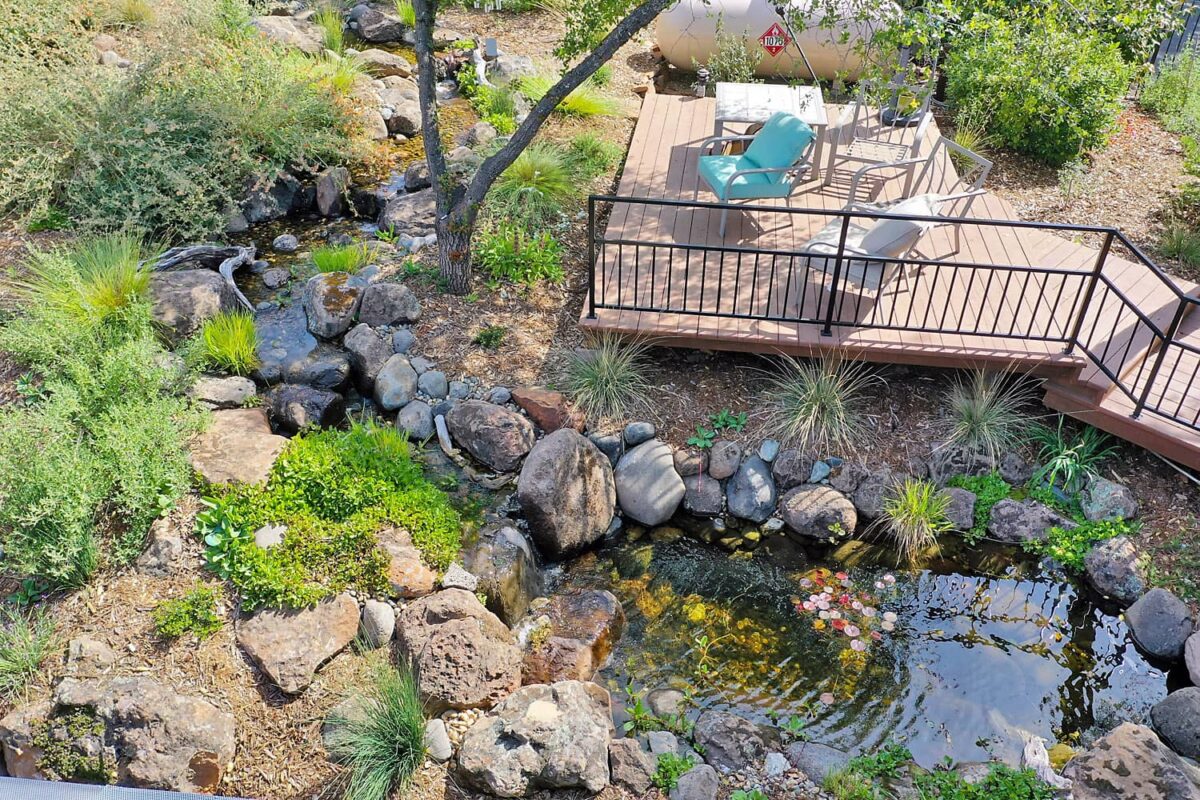 Ponds | the Art of Water
