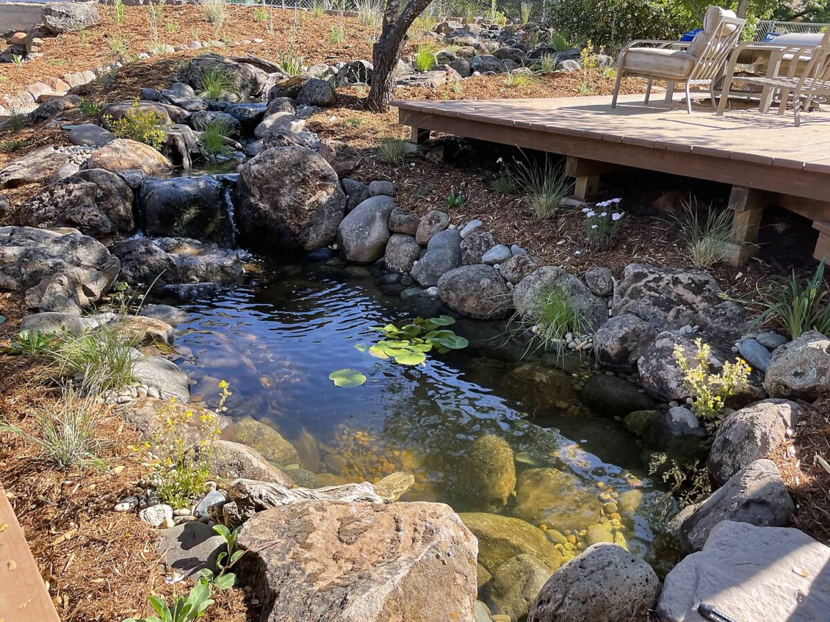 Ponds | the Art of Water