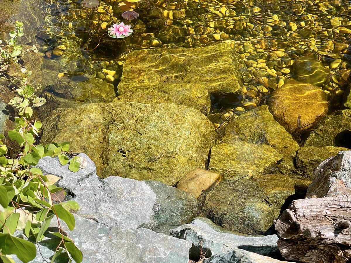 Sly Park Road | the Art of Water