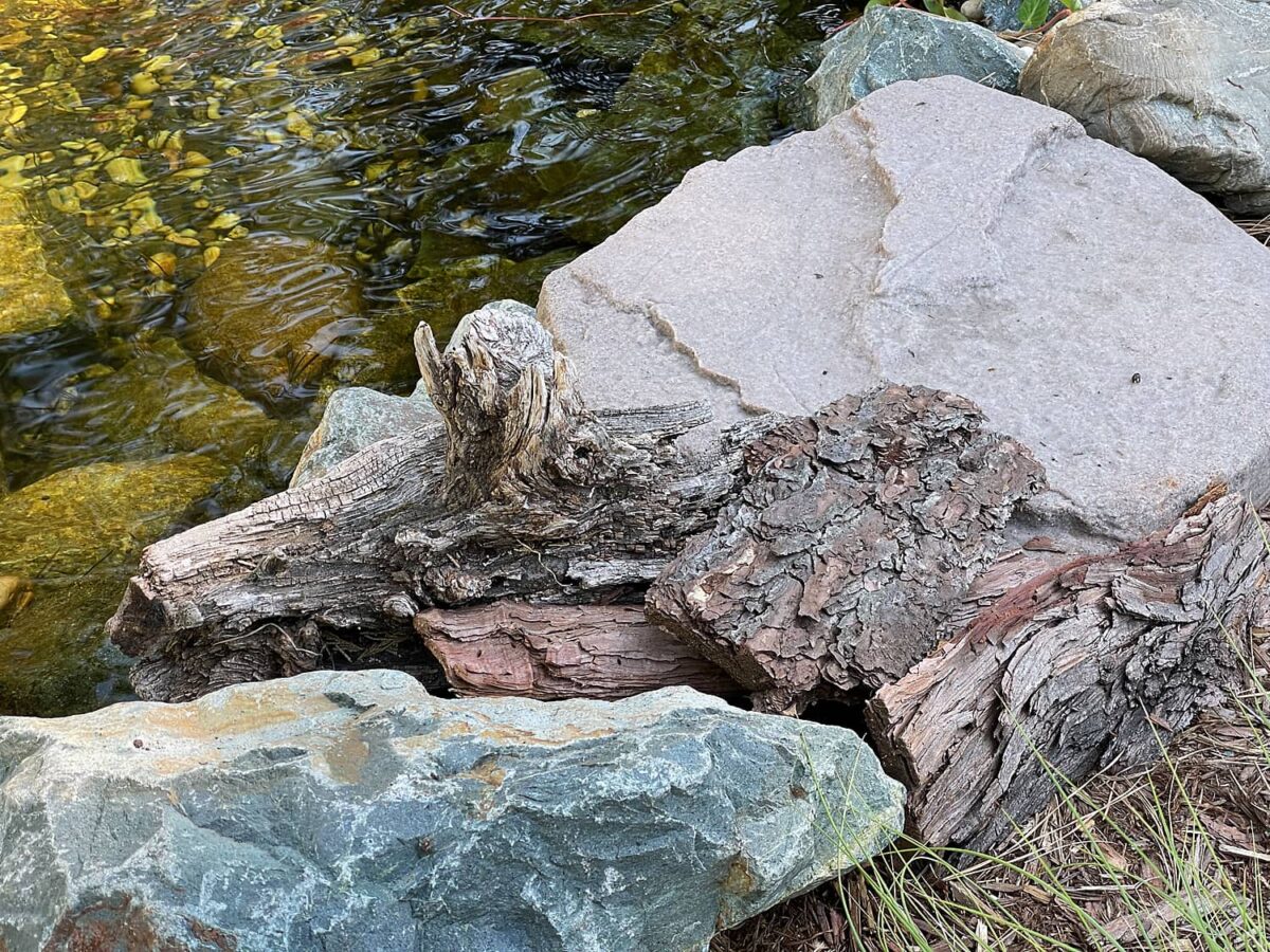 Sly Park Road | the Art of Water